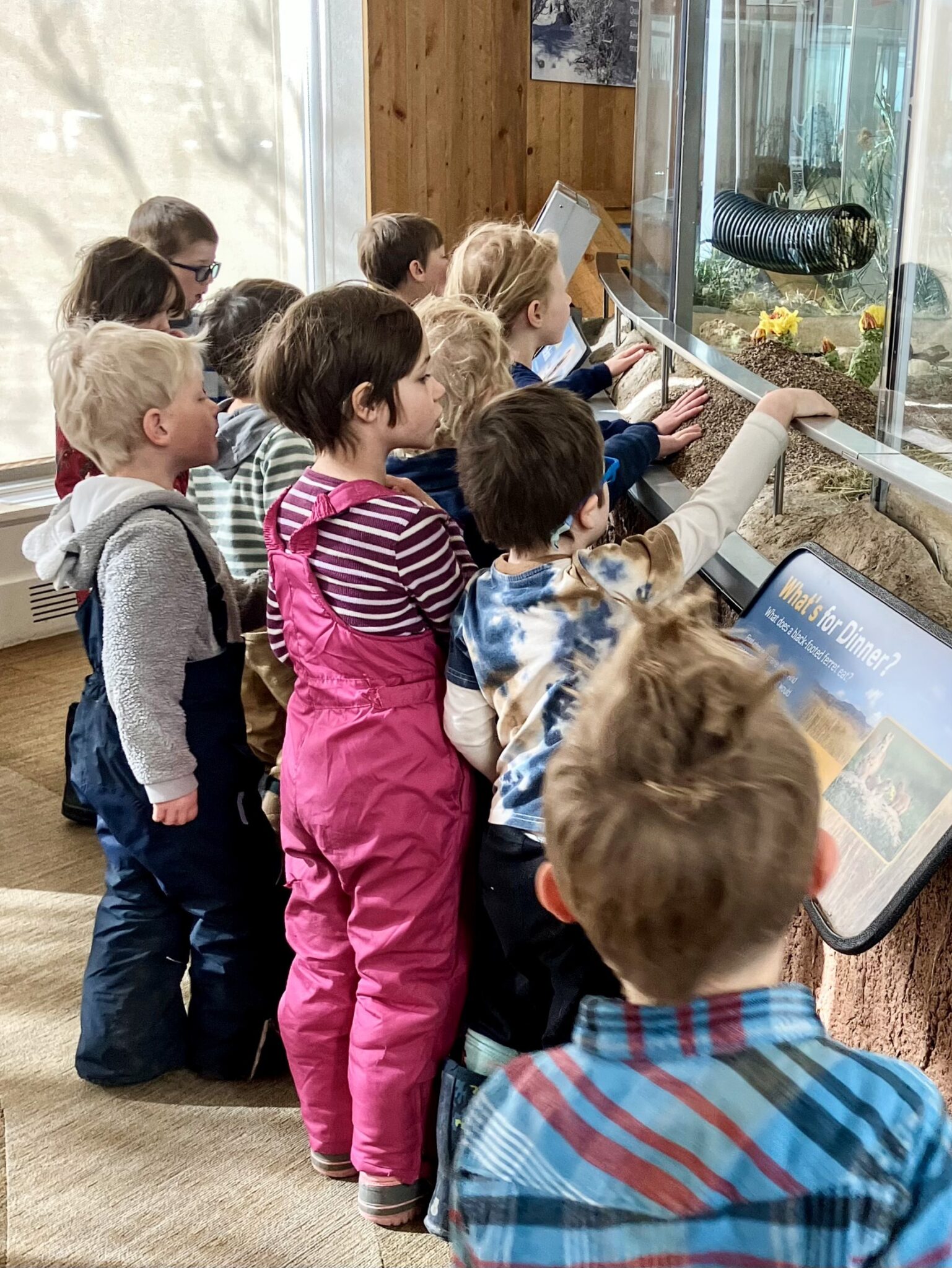Forest Kindergarten (4.5-7) - River Song Waldorf School